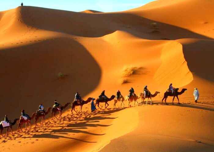 10-Days from Marrakech to the Sahara & Ocean