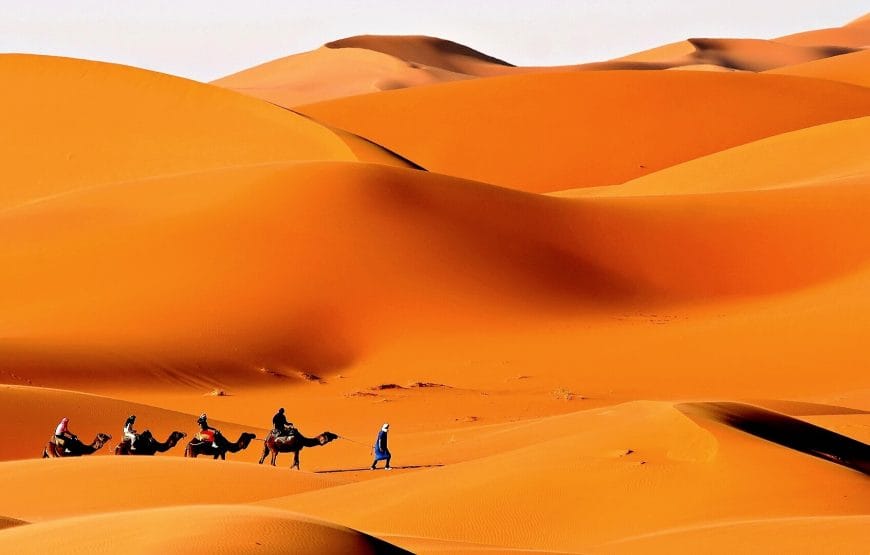 20-Day Trip from Casablanca: Grand Morocco Tour - Morocco Excursions